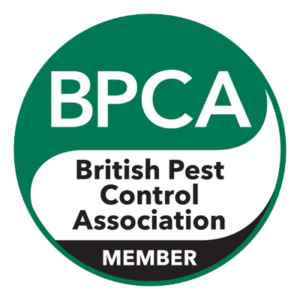 Boecker Qatar | Leading Pest Control, Food Safety & Hygiene Services