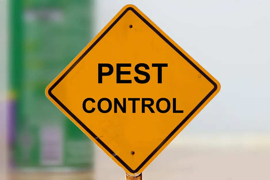 Why Regular Pest Control Is Crucial for Maintaining High Sanitation ...